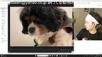 イヌのア〇ルと*** | OPENREC.tv (オープンレック)