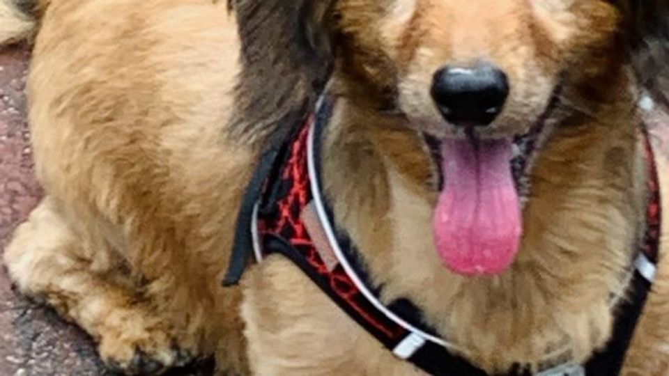 佐々木佑紀の秘密基地 #148 | OPENREC.tv (オープンレック)