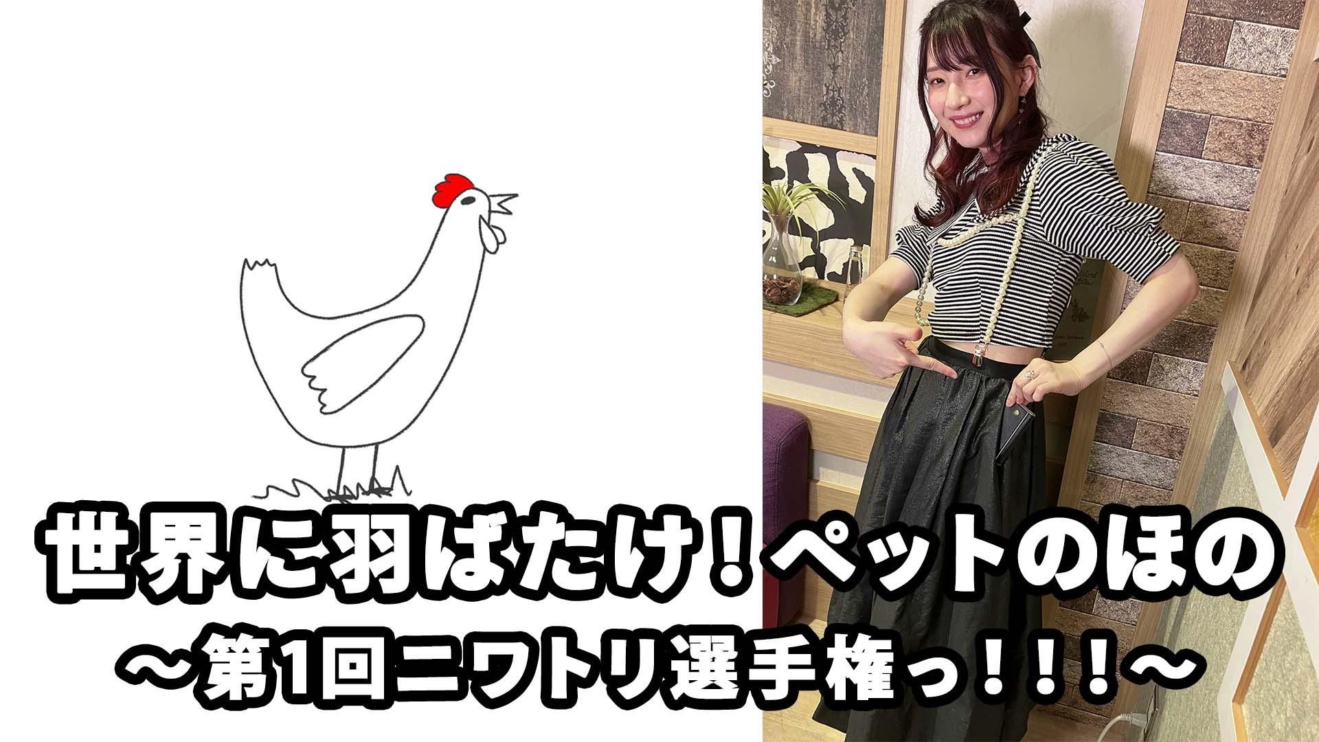 SP映像#89：世界に羽ばたけ！『ペットのほの』～第1回ニワトリ選手権っ！！！～ | OPENREC.tv (オープンレック)